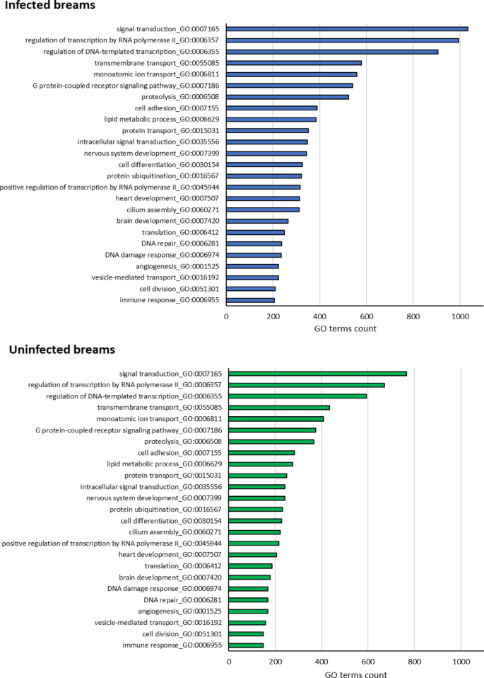 De Novo transcriptome assembly of Ligula intestinalis (Linnaeus, 1758 ...