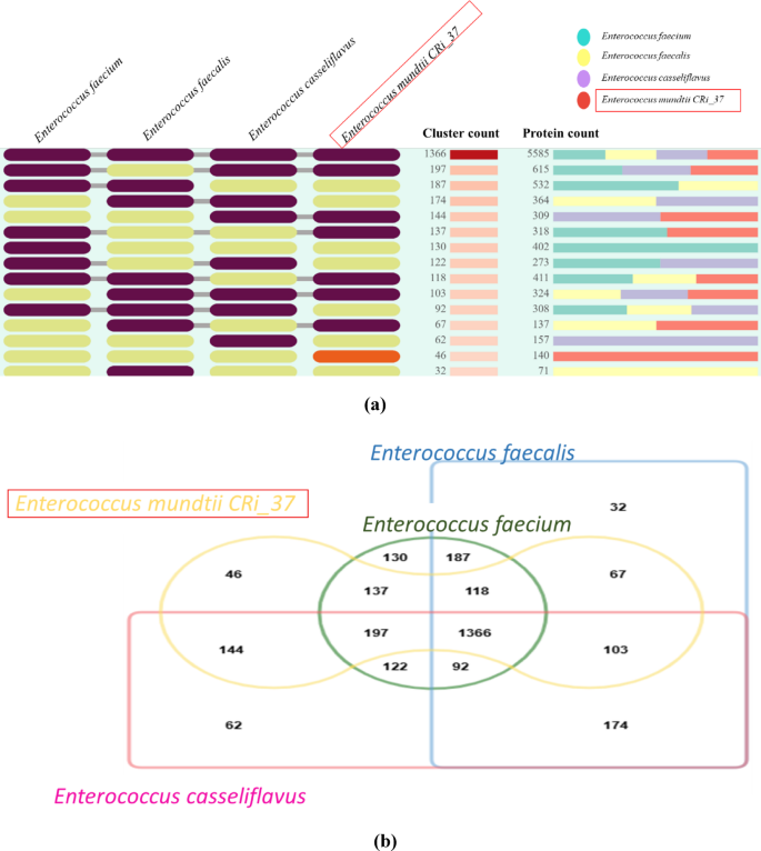 Functional characterization of Lytic Polysaccharide Monooxygenase from ...