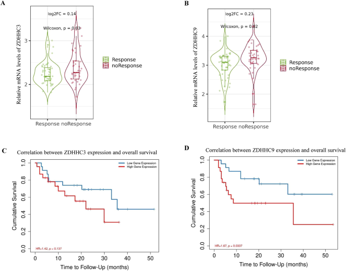 Palmitoylation modulates antitumor immunity | Molecular Biology Reports