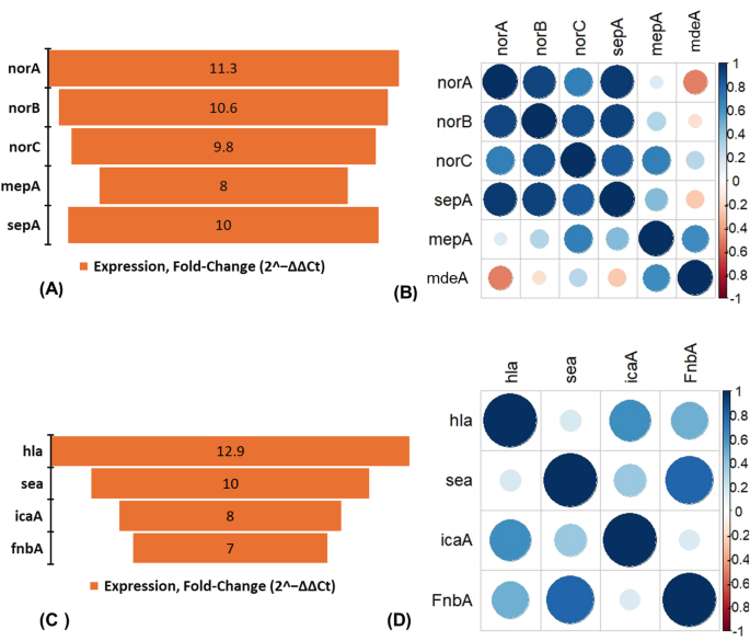 Unveiling the spectrum of vancomycin resistance in Staphylococcus ...