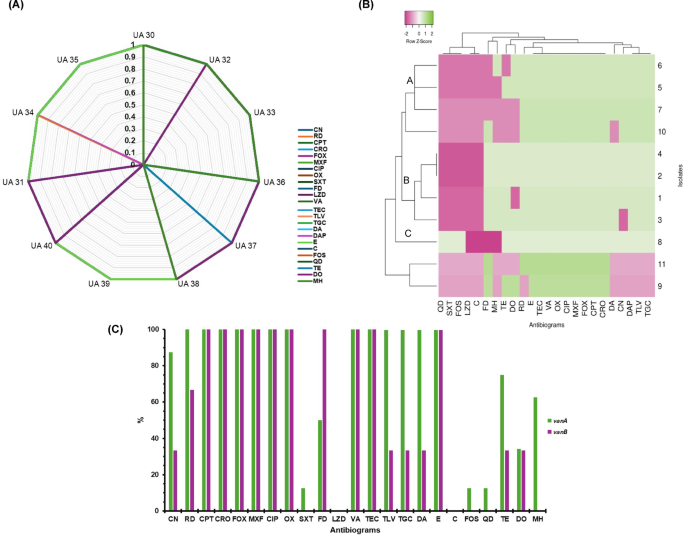 Unveiling the spectrum of vancomycin resistance in Staphylococcus ...