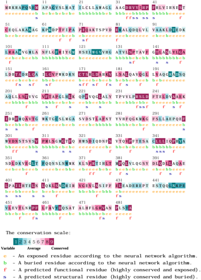 Association of AGT and AGTR1 gene polymorphisms with chronic kidney ...