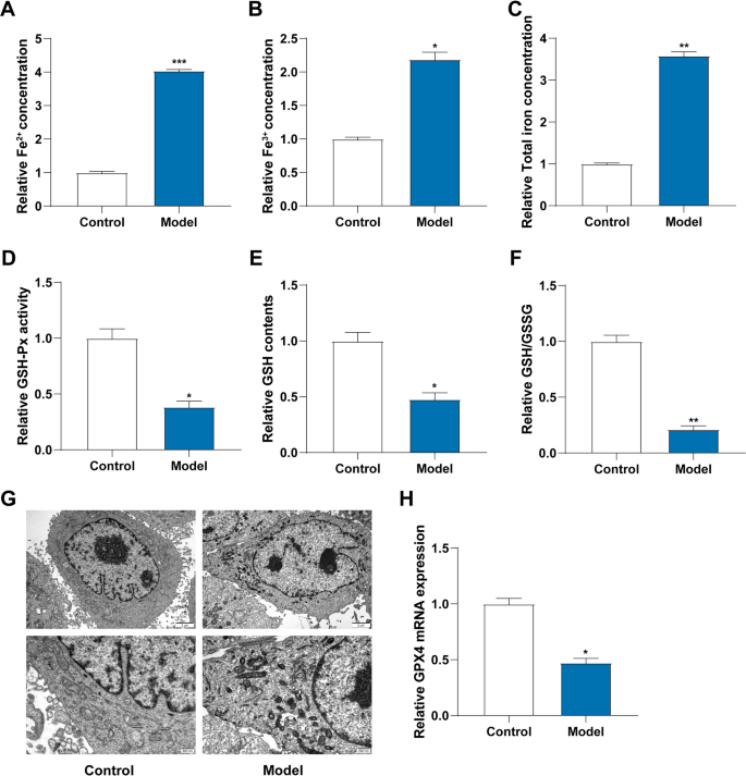 TPX2 promotes ferroptosis in LPS-induced C28/I2 chondrocytes via NF-κB ...