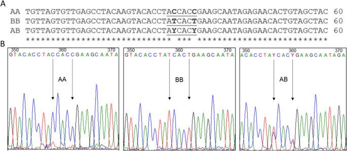 High-resolution melting (HRM) method for genotyping Kappa-Casein (CSN3 ...