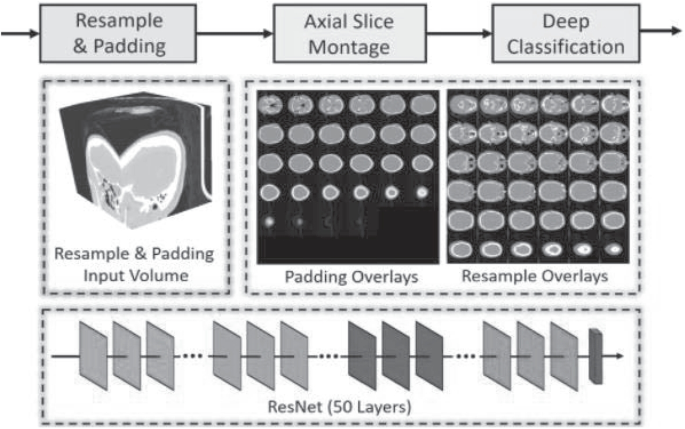 An overview of computer—aided medical image classification | Multimedia ...