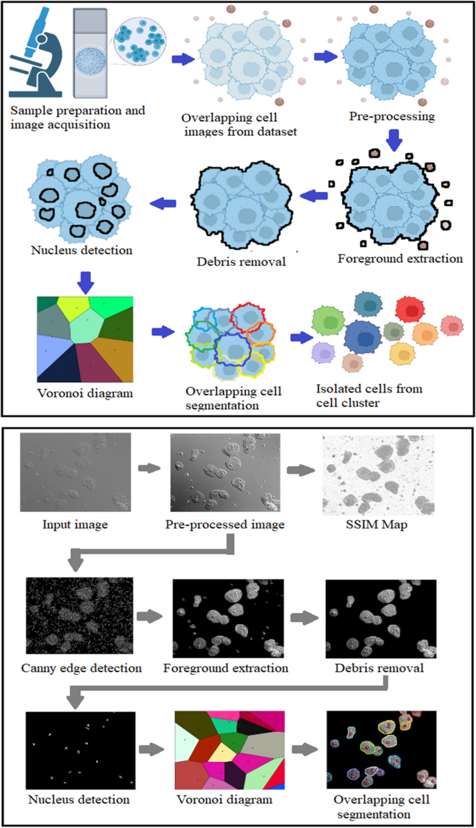 VMAC: overlapping cervical cell segmentation from label-free quantitative microscopy images ...