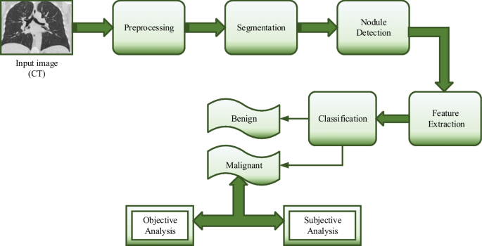Advancing lung cancer diagnosis with bio-inspired algorithms: a comprehensive assessment ...