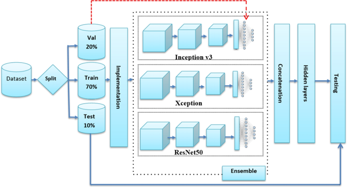 SkinMarkNet: an automated approach for prediction of monkeyPox using image data augmentation ...
