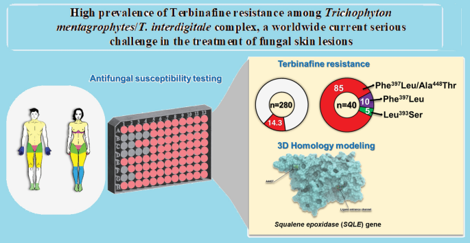 High Prevalence of Terbinafine Resistance Among Trichophyton ...