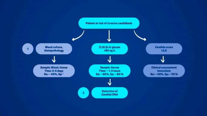 Diagnostic Approaches to Invasive Candidiasis: Challenges and New ...