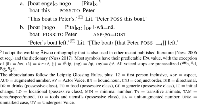 Possession and syntactic categories: An argument from Äiwoo | Natural ...