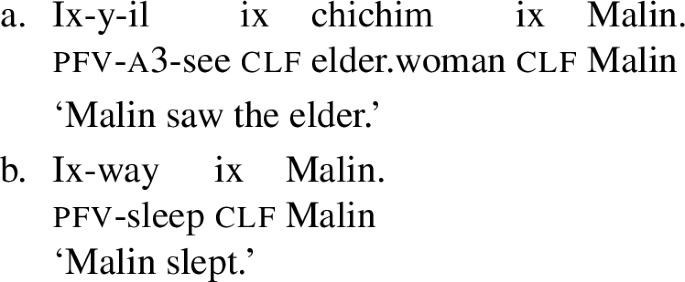 Mayan animacy hierarchy effects and the dynamics of Agree | Natural ...