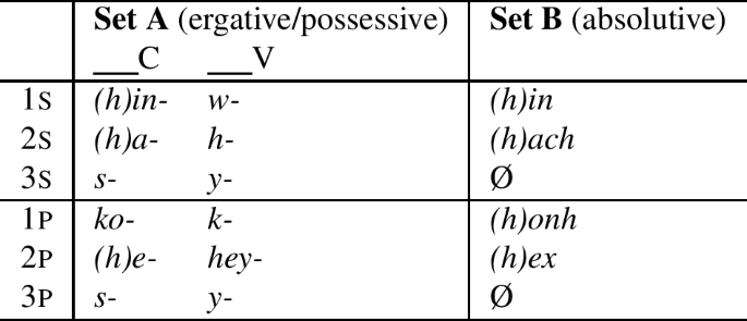Mayan animacy hierarchy effects and the dynamics of Agree | Natural ...