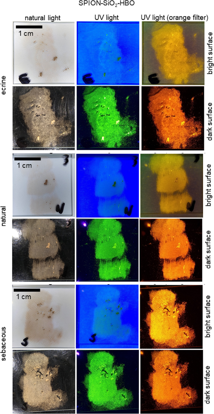 A magnetic and excited state intramolecular proton transfer fluorescent ...