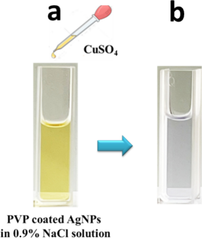 Enhancing silver nanoparticle dissolution in chloride media by cupric ...