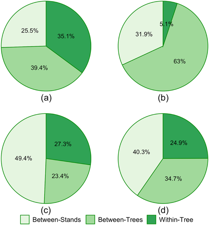 Modelling conductive sapwood area of Gmelina arborea trees grown in the ...