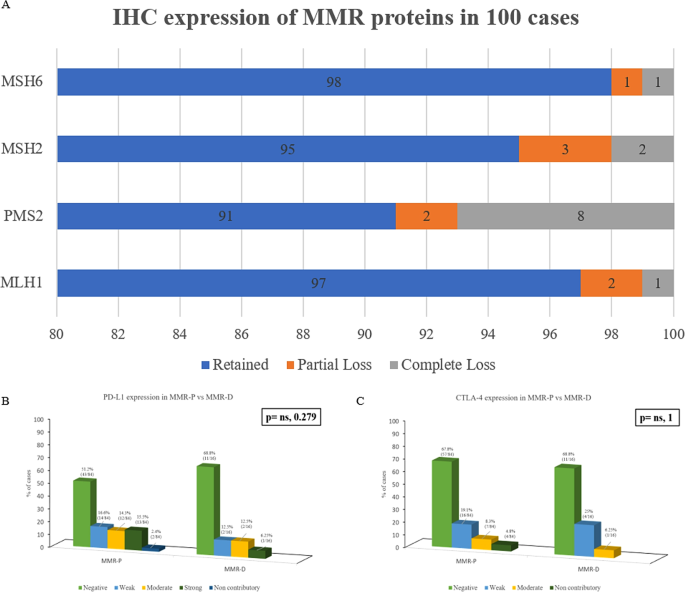 Unveiling MMR deficiency in pediatric and AYA high-grade gliomas ...