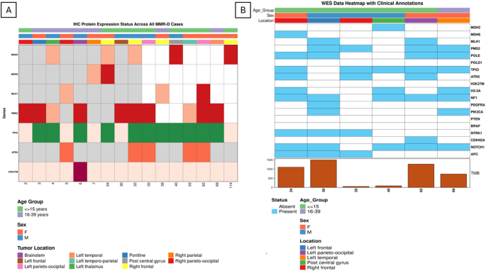 Unveiling MMR deficiency in pediatric and AYA high-grade gliomas ...