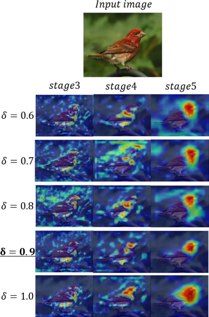 Rethinking Attention Mechanism: Channel Re-attention and Spatial Multi-region Attention for Fine ...