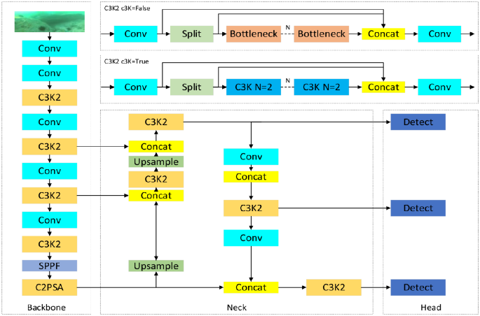 FEFM-YOLO11: Underwater Object Detection Algorithm Based on Improved YOLO11 | Neural Processing ...