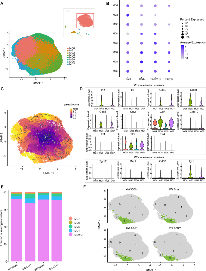 Single-cell RNA Sequencing Identifies a Novel Subtype of Microglia with ...