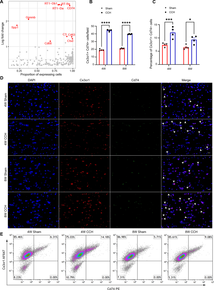 Single-cell RNA Sequencing Identifies a Novel Subtype of Microglia with ...