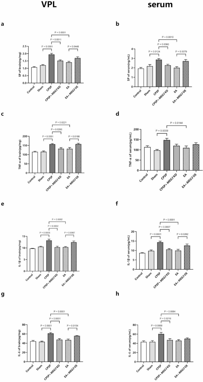 Electroacupuncture Ameliorates Neuroinflammatory Injury in CPSP Rats by ...