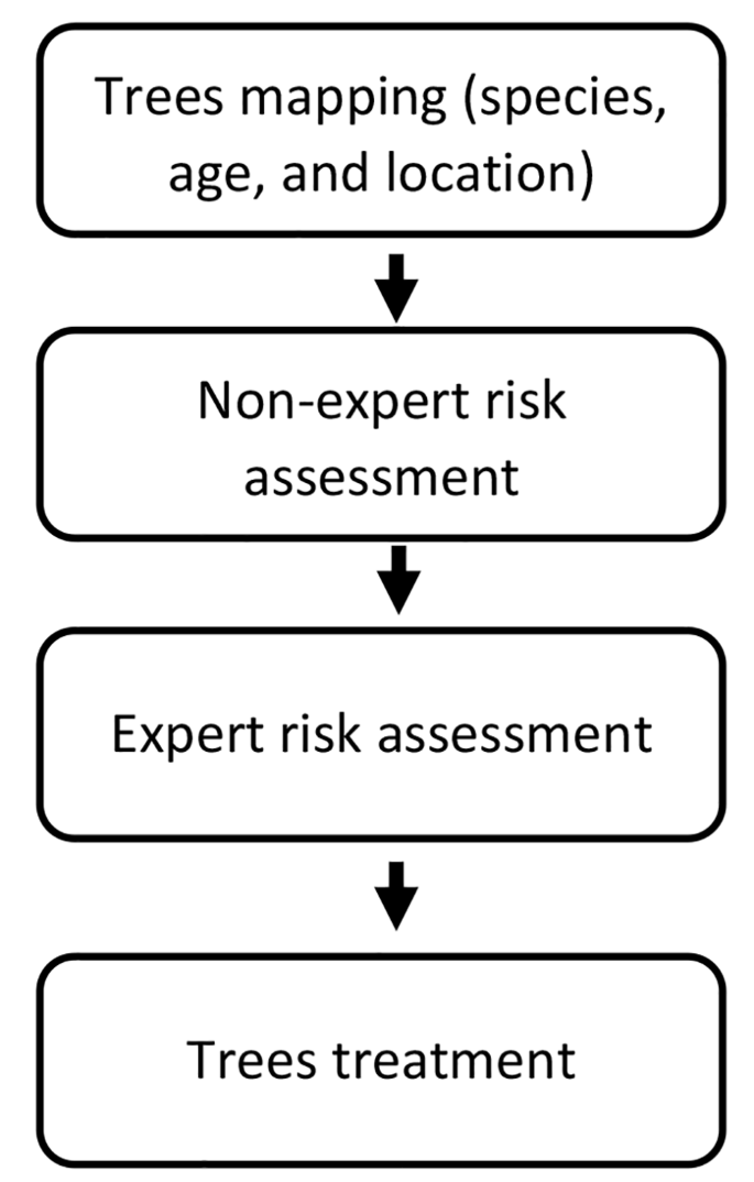 Risk assessment of street trees failure by non-experts: a case study ...
