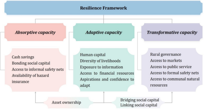 Towards sustainable development: understanding resilience capacity and ...
