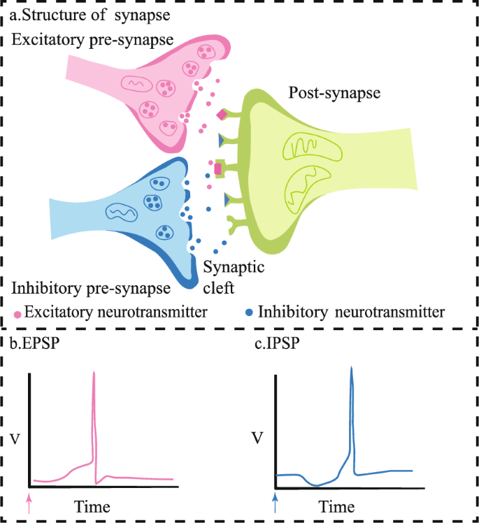 A Review of Recent Developments in Neuromorphic Computing Based on Emerging Memory Devices ...