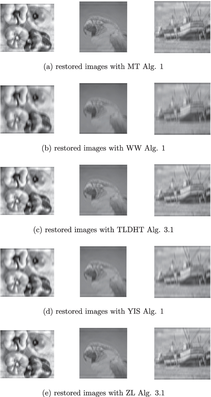 Forward-reflected-backward algorithms with double inertial extrapolations for variational ...