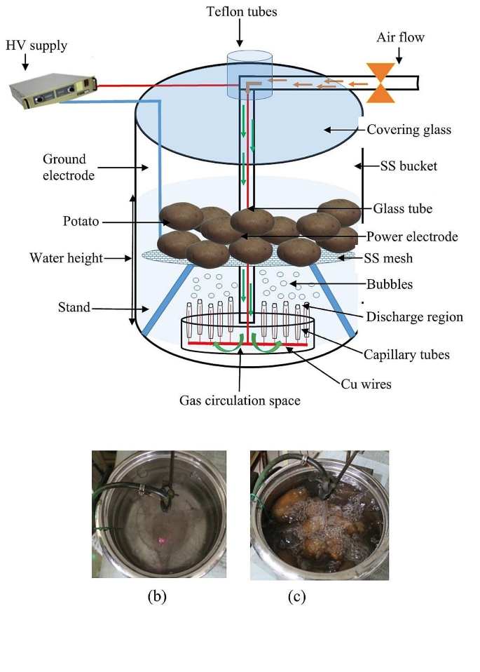 Combined Plasma Treatment Effects on Growth and Yield: Second ...