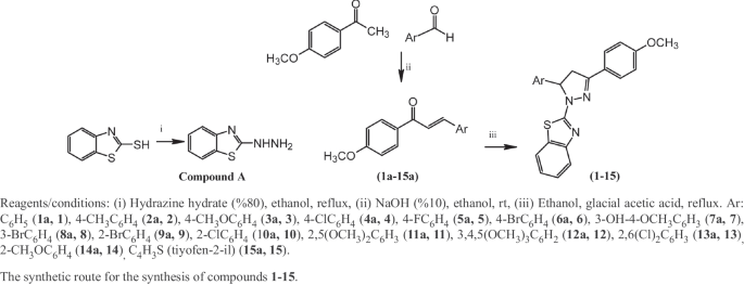 In Vitro Enzyme Activity and Molecular Docking Studies of Pyrazoline ...
