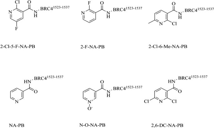 Design and Spectral Validation of RAD51 Inhibitors Based on BRC4 (1523 ...