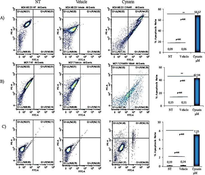 Cynarine Exhibits Antiproliferative Activity and Bcl-2-Mediated ...