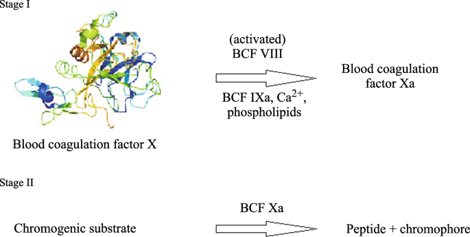 Methodology for Determining the Potency of Blood Coagulation Factor ...