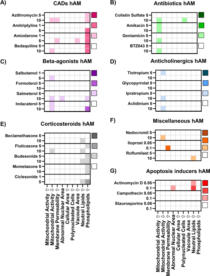 High Content Image Analysis of Cellular Responses of the Murine J774A.1 ...