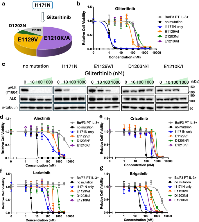 Preclinical Prediction of Resistance Mutations and Proposal of ...