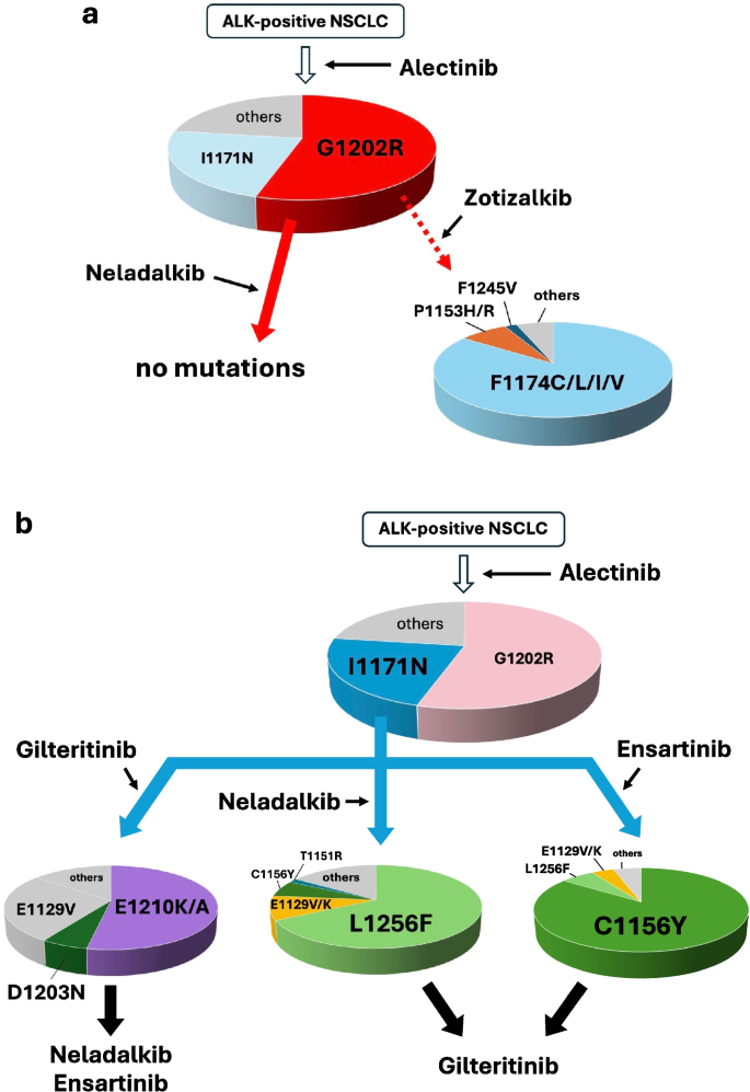 Preclinical Prediction of Resistance Mutations and Proposal of ...