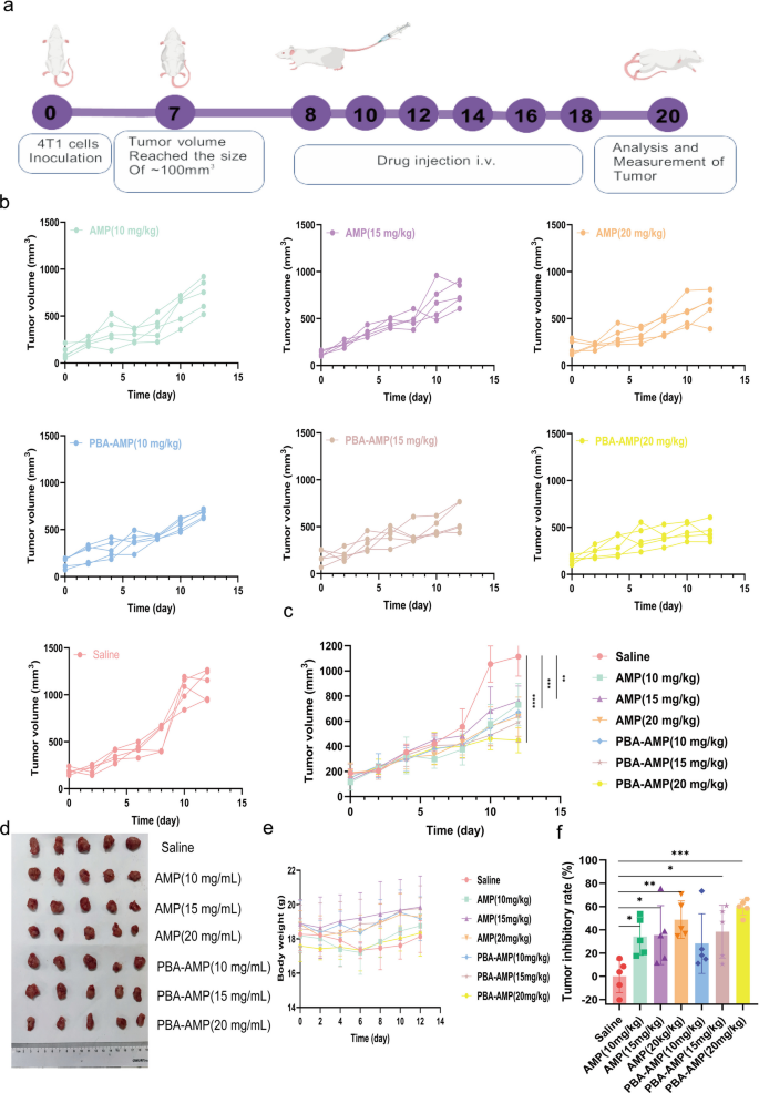 Rational Design of a Bioconjugated Antitumor Peptide with Tumor ...