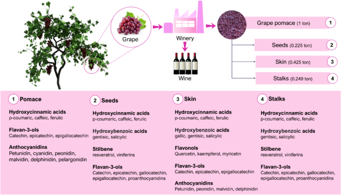 Sustainable extraction methods for the recovery of polyphenolic ...