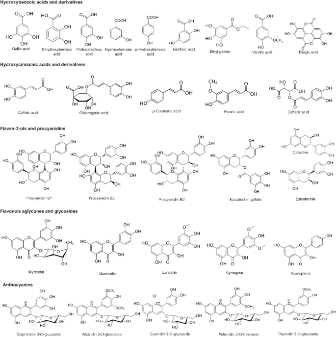 Sustainable extraction methods for the recovery of polyphenolic ...