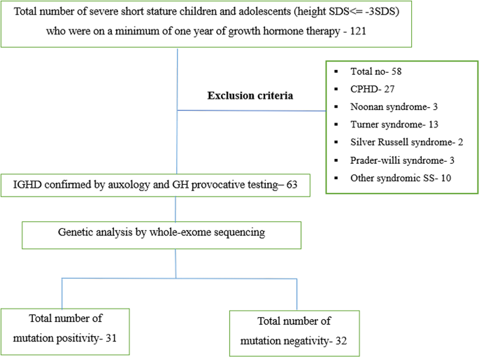 Clinical and molecular genetic analysis of children with severe short ...