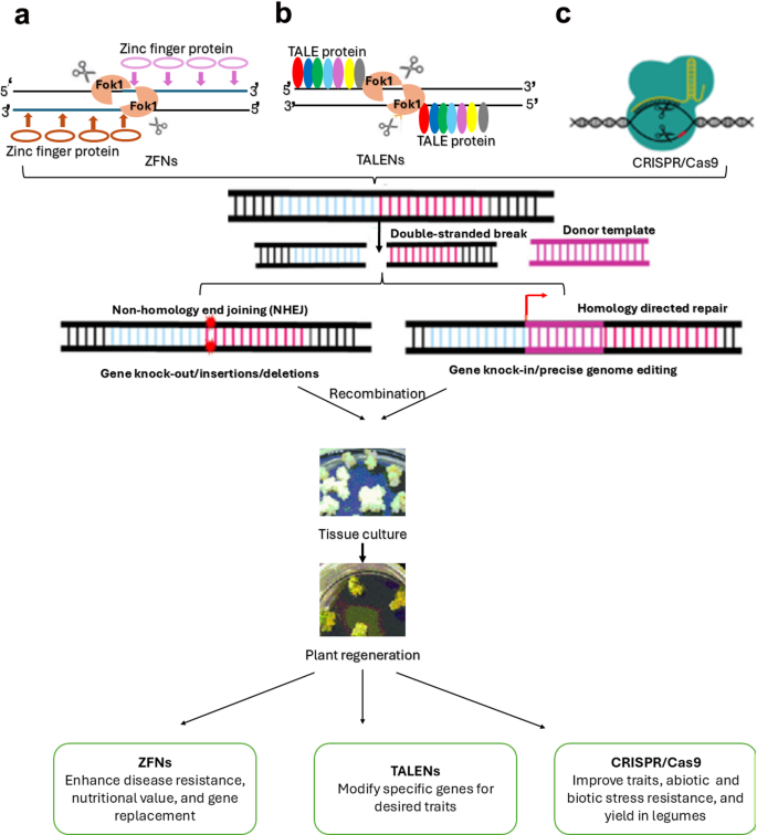 Revolution and advances in gene editing and genomics technology for ...
