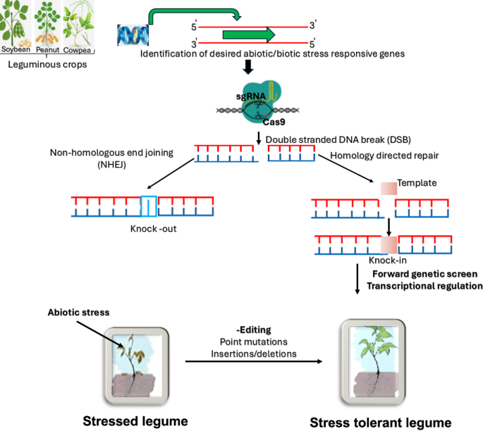 Revolution and advances in gene editing and genomics technology for ...