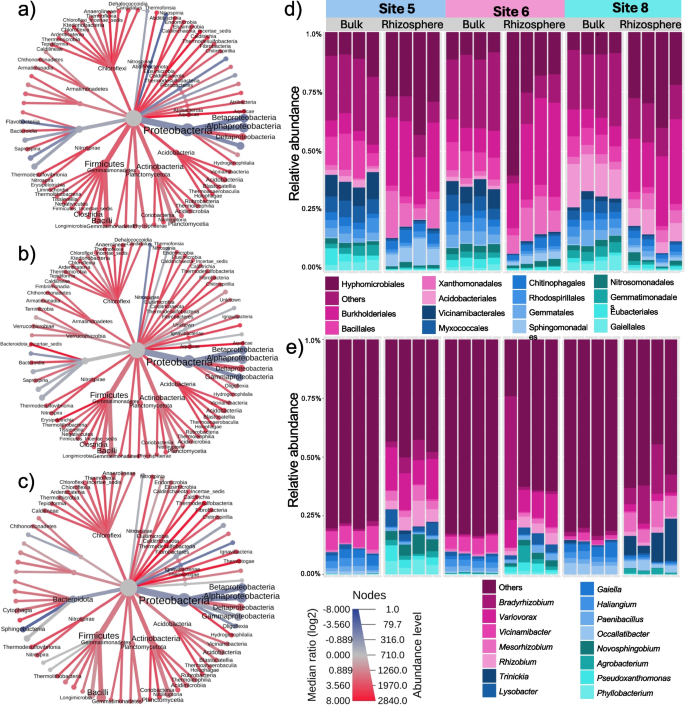 Bradyrhizobium and the soybean rhizosphere: Species level bacterial ...