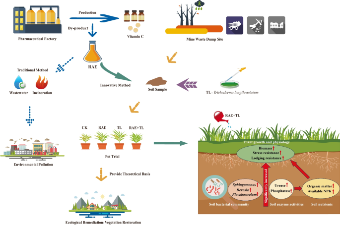 Combined application of organic wastes and Trichoderma longibraciatum ...