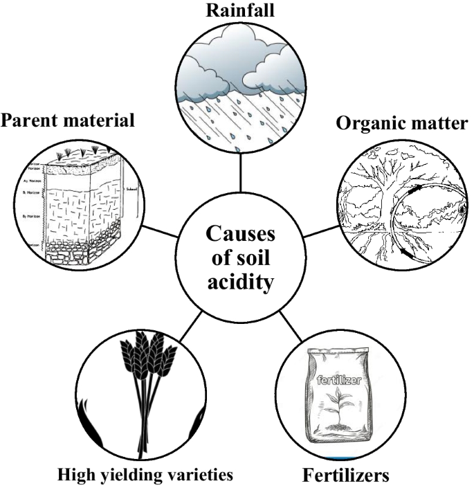 The benefits of gypsum for sustainable management and utilization of ...