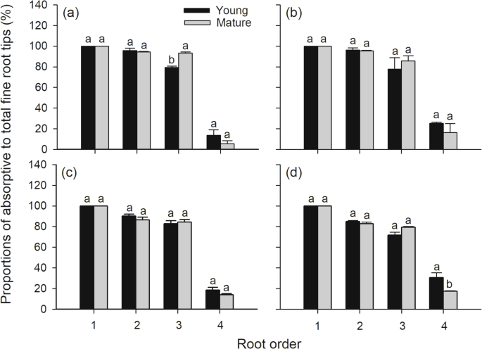 Anatomically defined absorptive fine roots are modulated by root-order ...