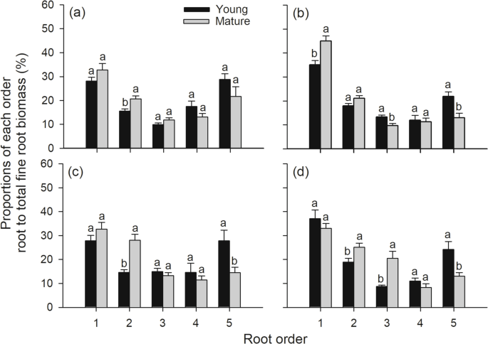 Anatomically defined absorptive fine roots are modulated by root-order ...